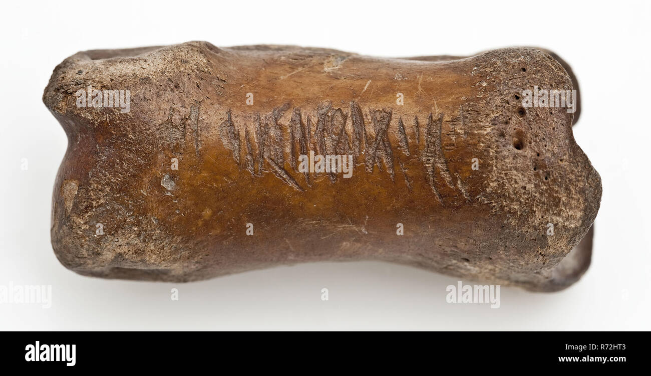 Digit from cow's leg, part of throwing game: flocks, koot game piece ...