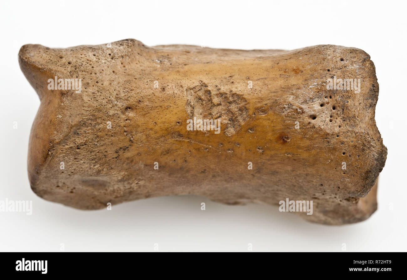 Digit from cow's leg, part of throwing game: koot, koot game piece ...