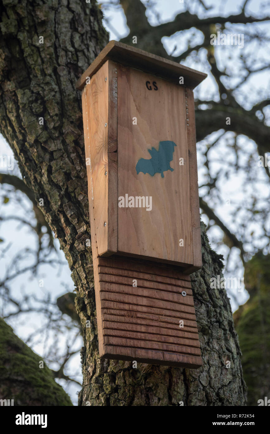 nesting box for bats, hohenlohe region, Baden-Wuerttemberg, Heilbronn ...