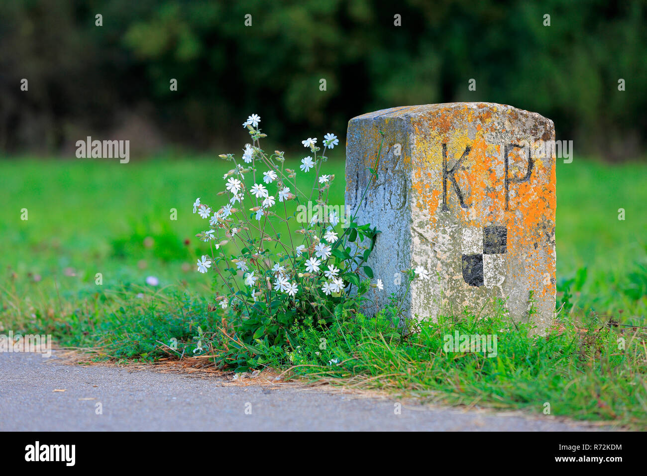Border stone hi-res stock photography and images - Alamy