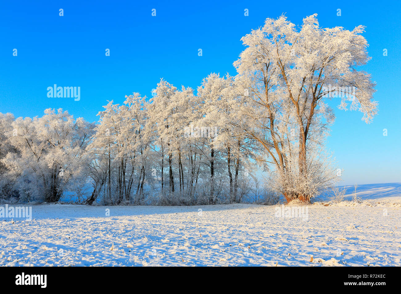 Swabia Germany Stock Photos & Swabia Germany Stock Images - Alamy