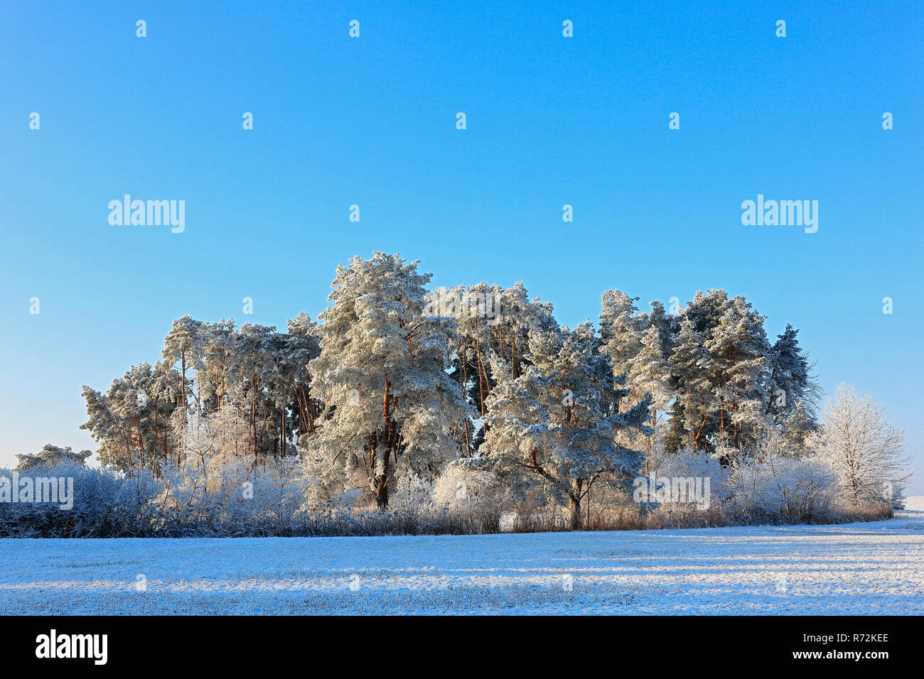 Swabia Stock Photos & Swabia Stock Images - Alamy
