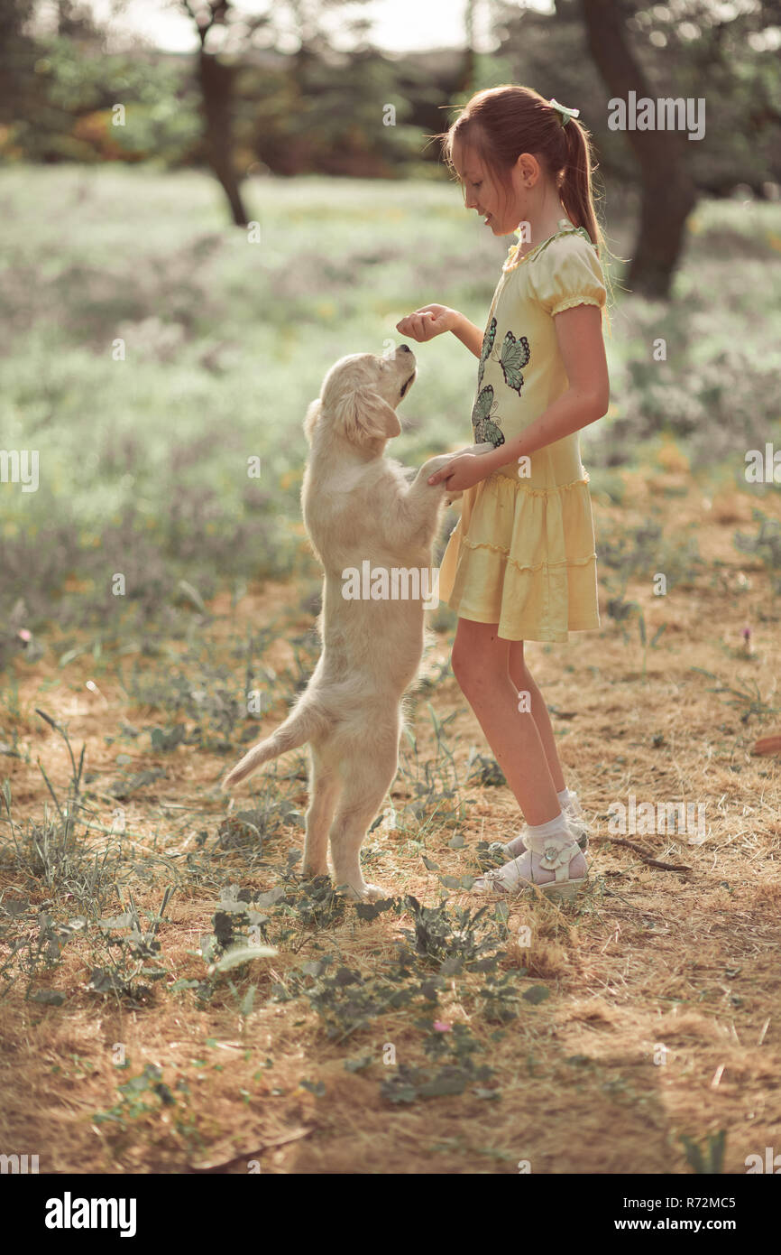 Retriever pup Lovely scene cute young teen girl enjoying posing summer ...