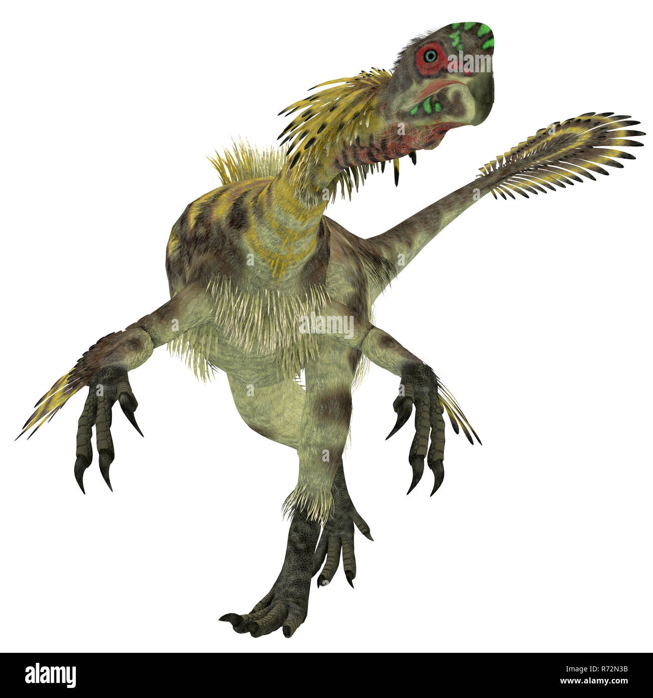 Citipati Male Dinosaur Stock Photo - Alamy