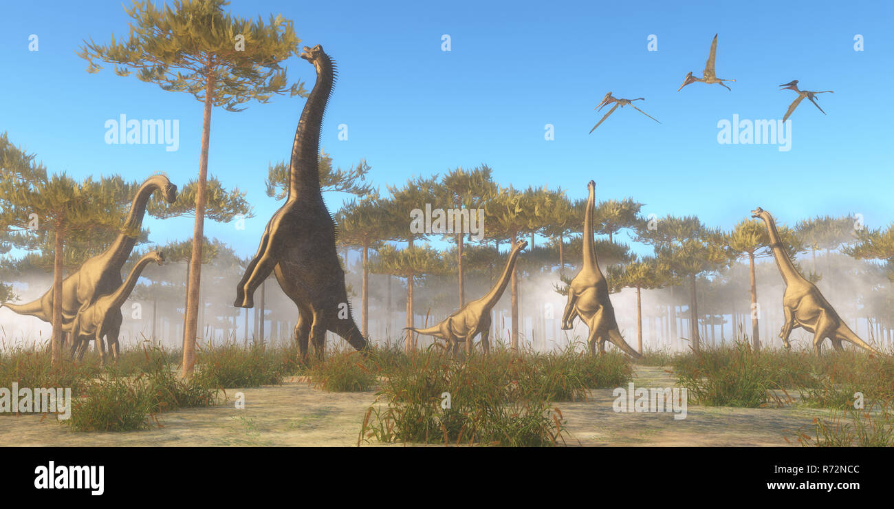 Brachiosaurus herd hi-res stock photography and images - Alamy