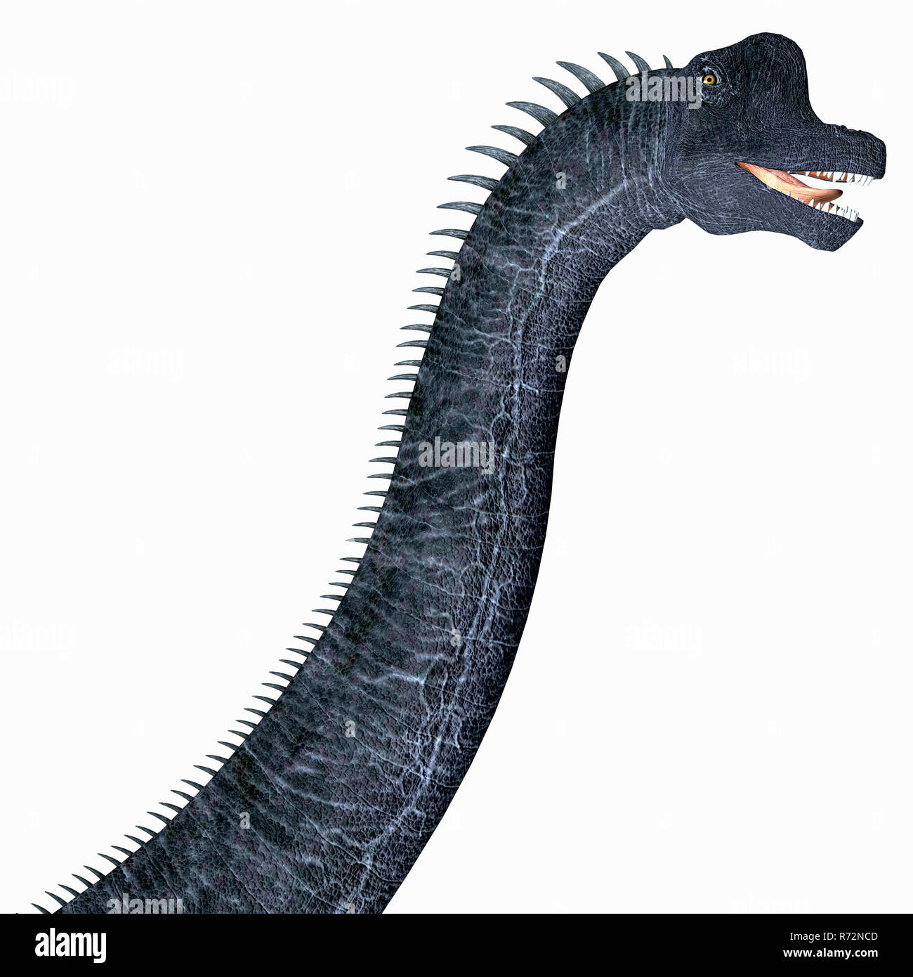 Brachiosaurus head hi-res stock photography and images - Alamy