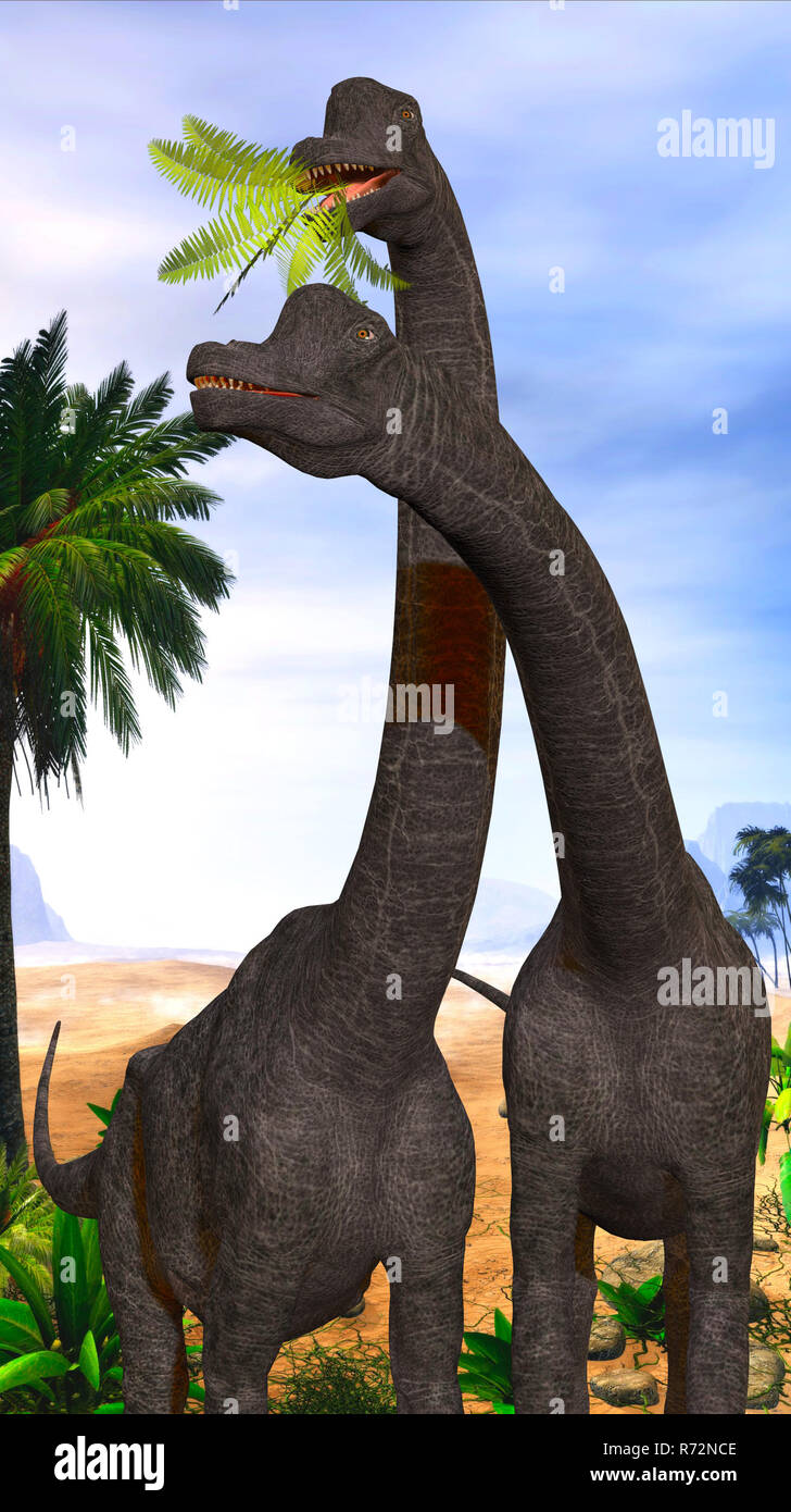 Brachiosaurus dinosaurs hi-res stock photography and images - Alamy