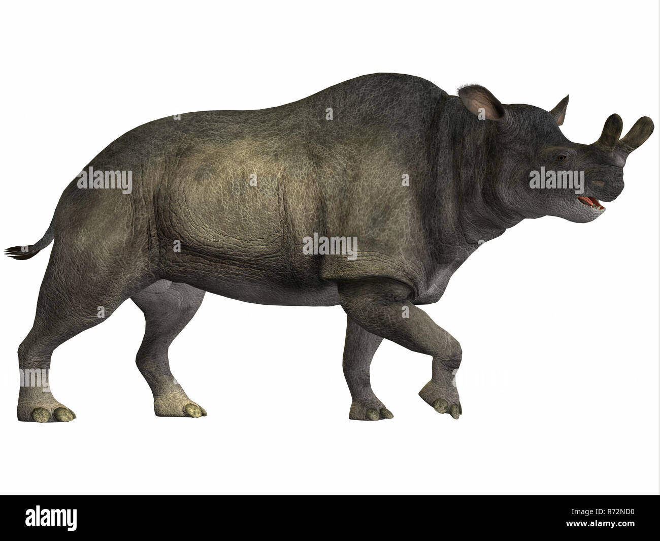 Brontotherium hi-res stock photography and images - Alamy