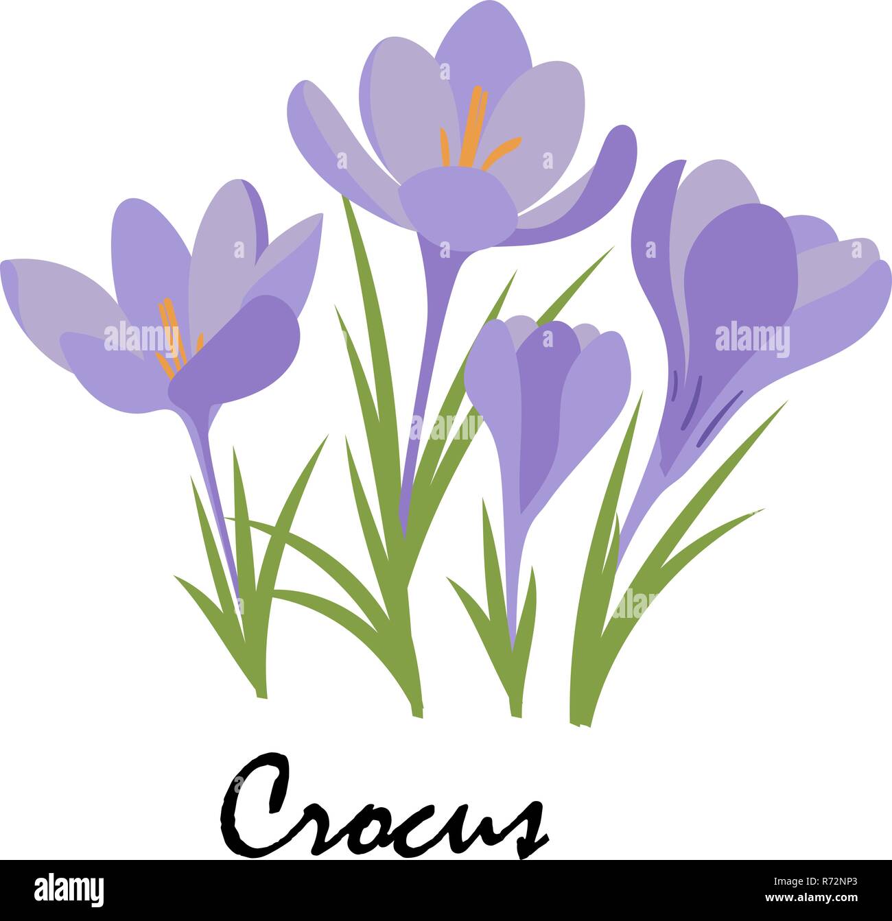 Autumn Crocus Tattoo
