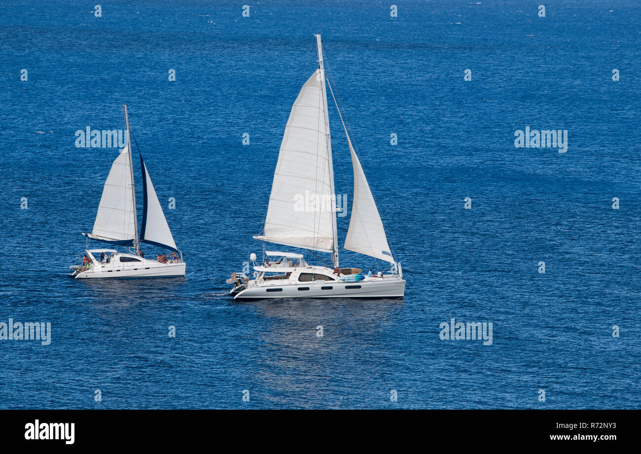 Two yachts sailing on Caribbean Sea Barbados Stock Photo - Alamy