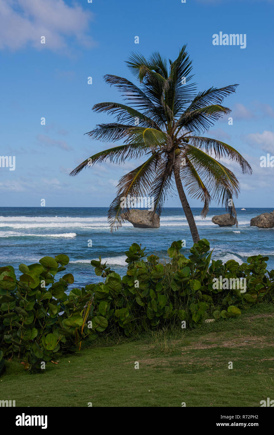 Bathsheba Beach & Atlantic Ocean Barbados showing mushroom shaped rock ...