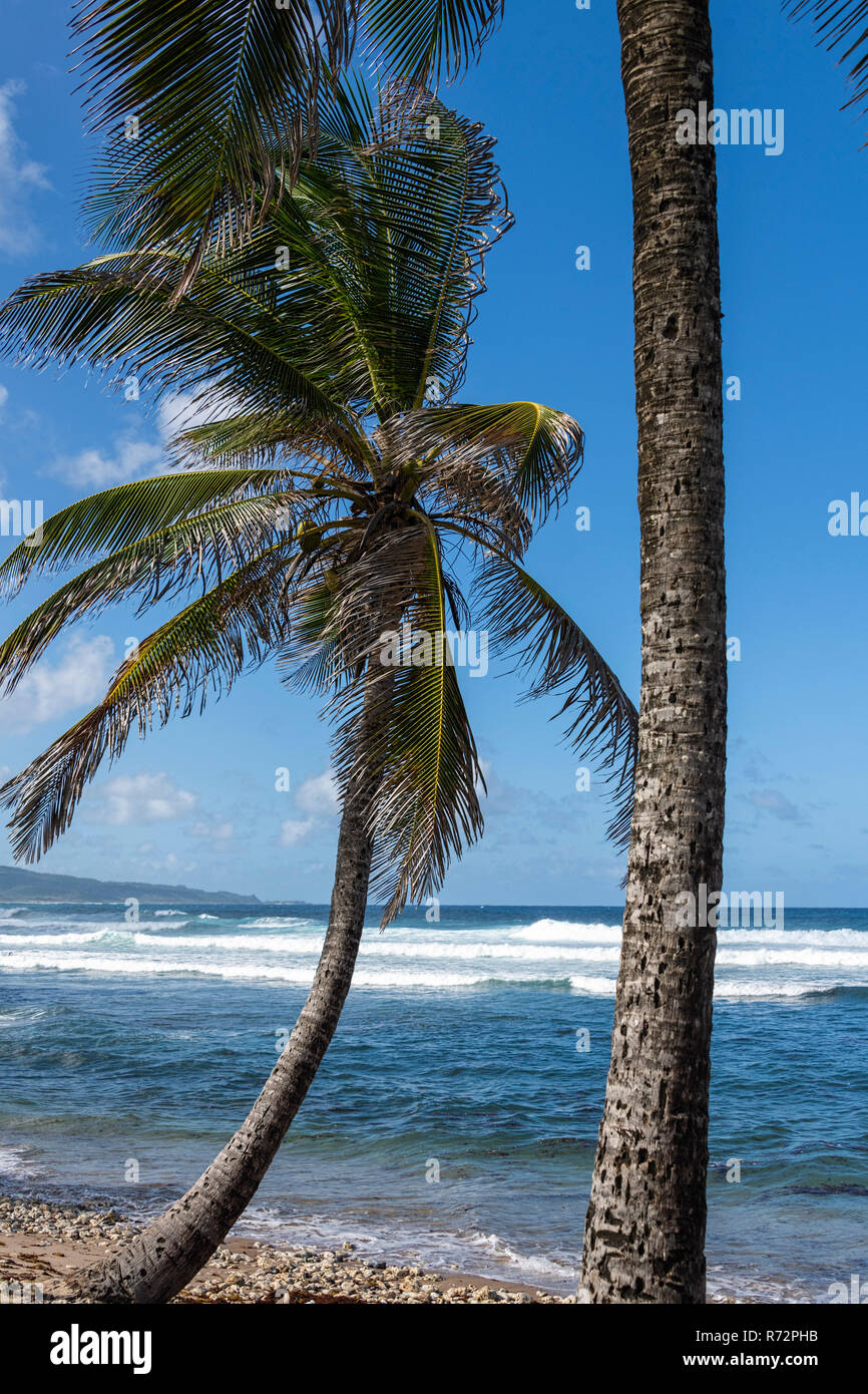 Bathsheba Beach & Atlantic Ocean Barbados Stock Photo - Alamy