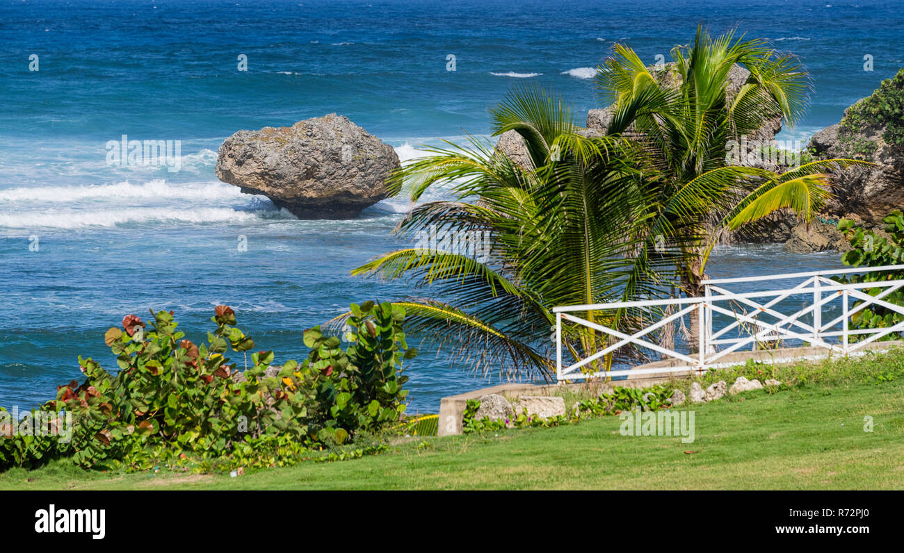 Bathsheba Beach & Atlantic Ocean Barbados showing mushroom shaped rock ...