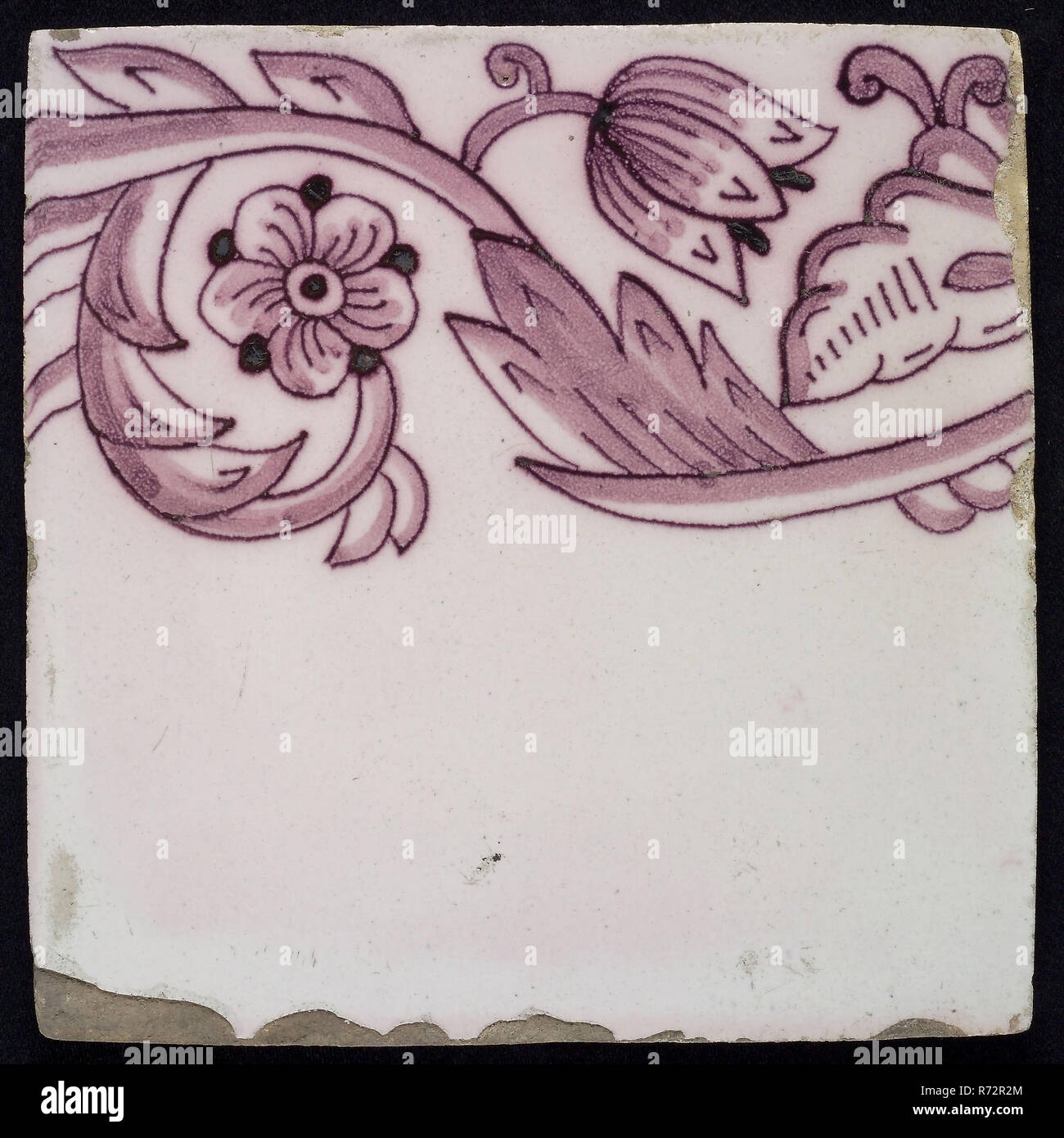 Border tile, purple on lilac fond with tulip garland, flower with five ...