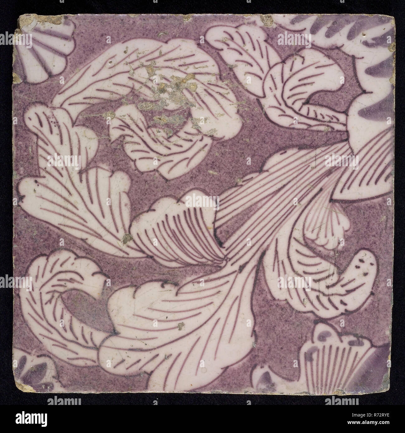 Curled feathers hi-res stock photography and images - Alamy