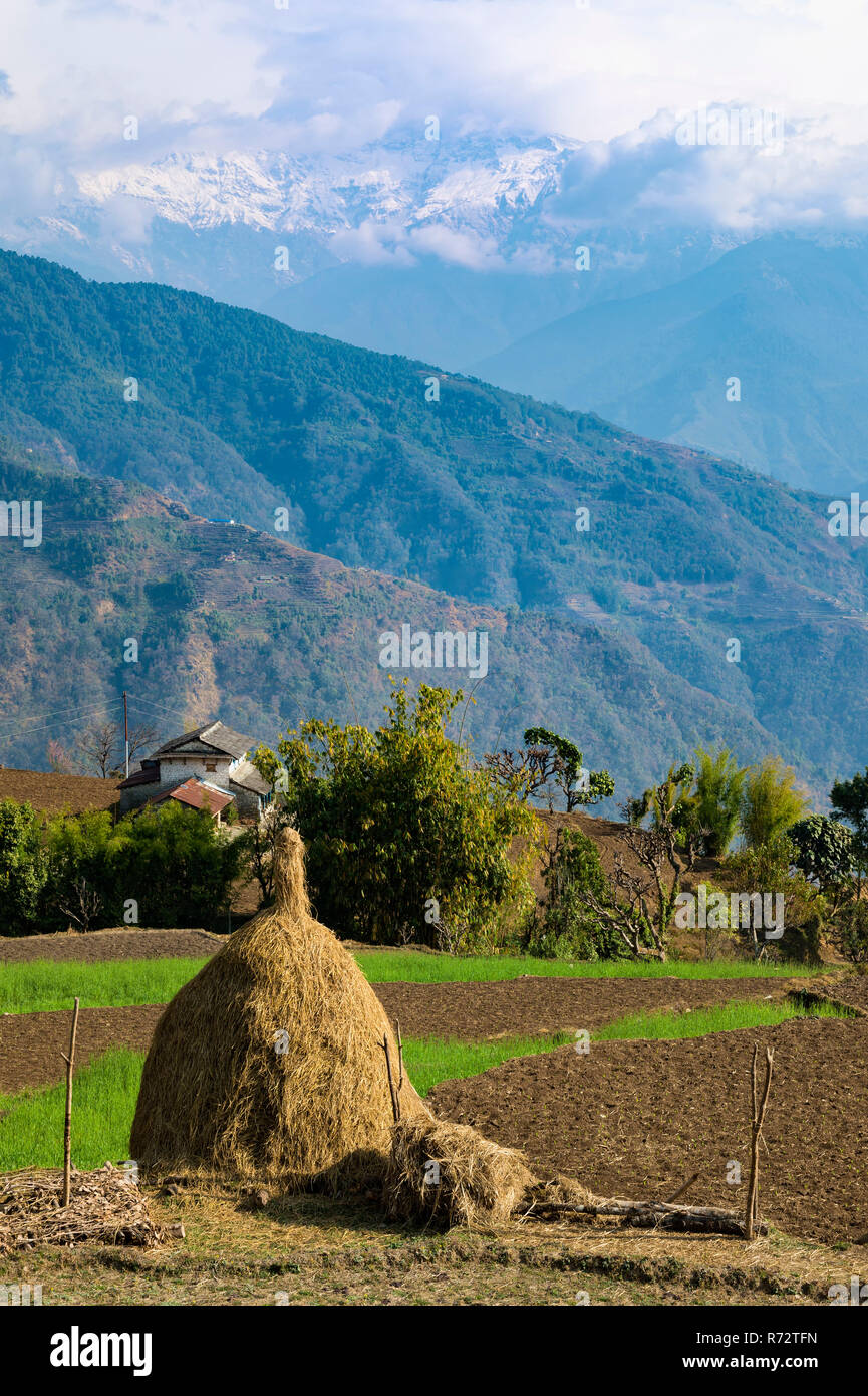 Himalaya himalayan range hi-res stock photography and images - Alamy