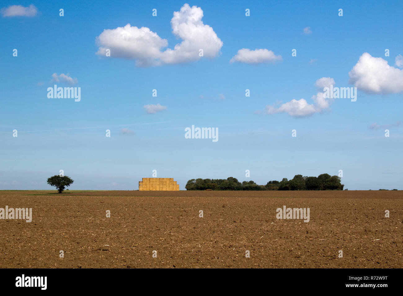 Trees and haystack on the horizon Stock Photo - Alamy
