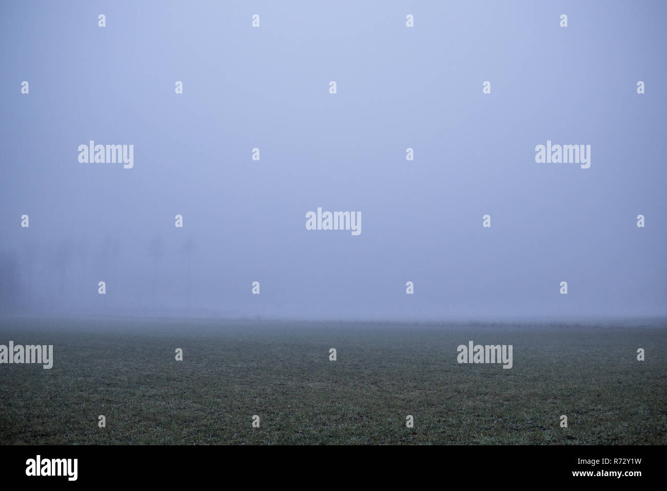 Foggy winter night field in hi-res stock photography and images - Alamy