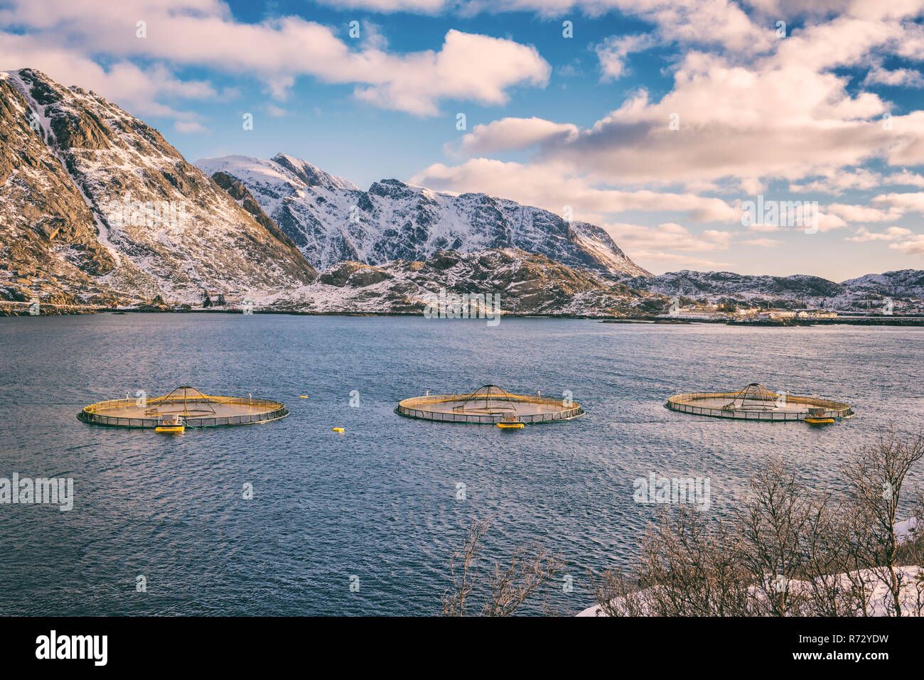 Salmon farm in norwegian fjord, scenic winter landscape, Lofoten ...
