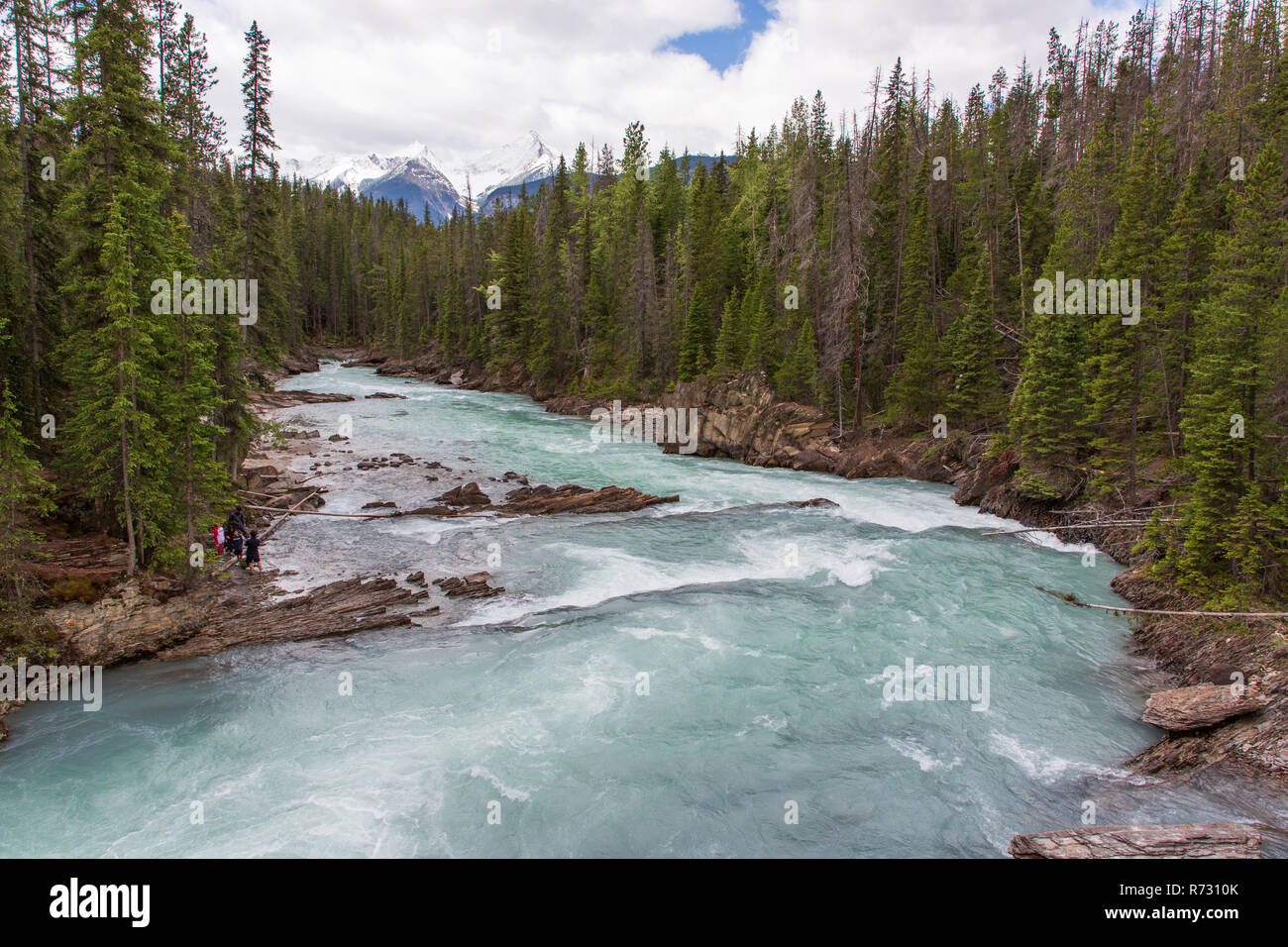 Kicking Horse River at Natural Bridge,Field,British Columbia,Canada ...