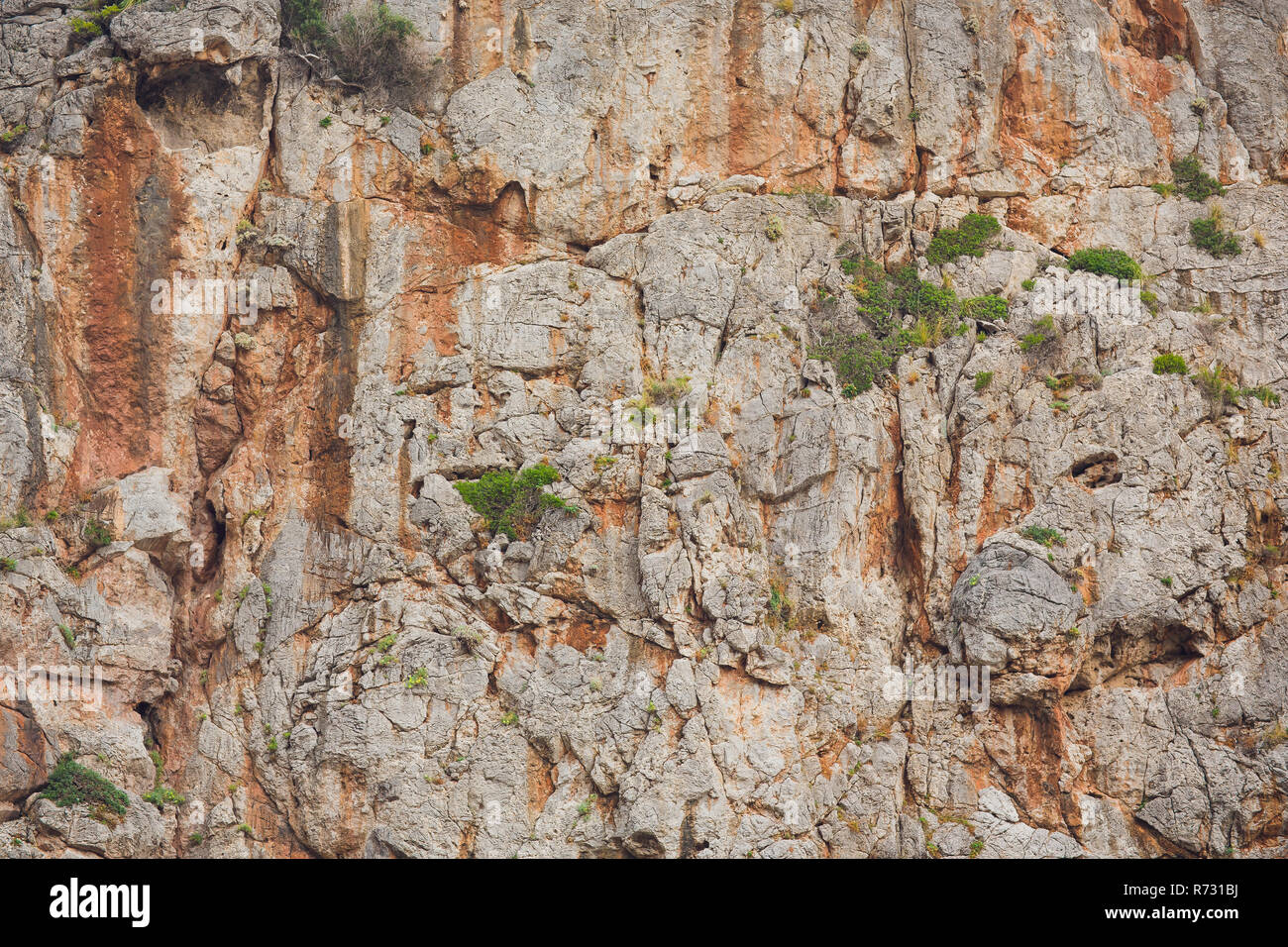 Inclusion in rock layer hi-res stock photography and images - Alamy