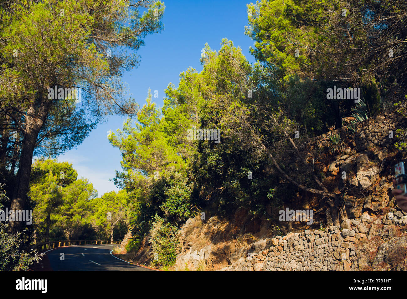 country road at the european alps Mountain Stock Photo - Alamy