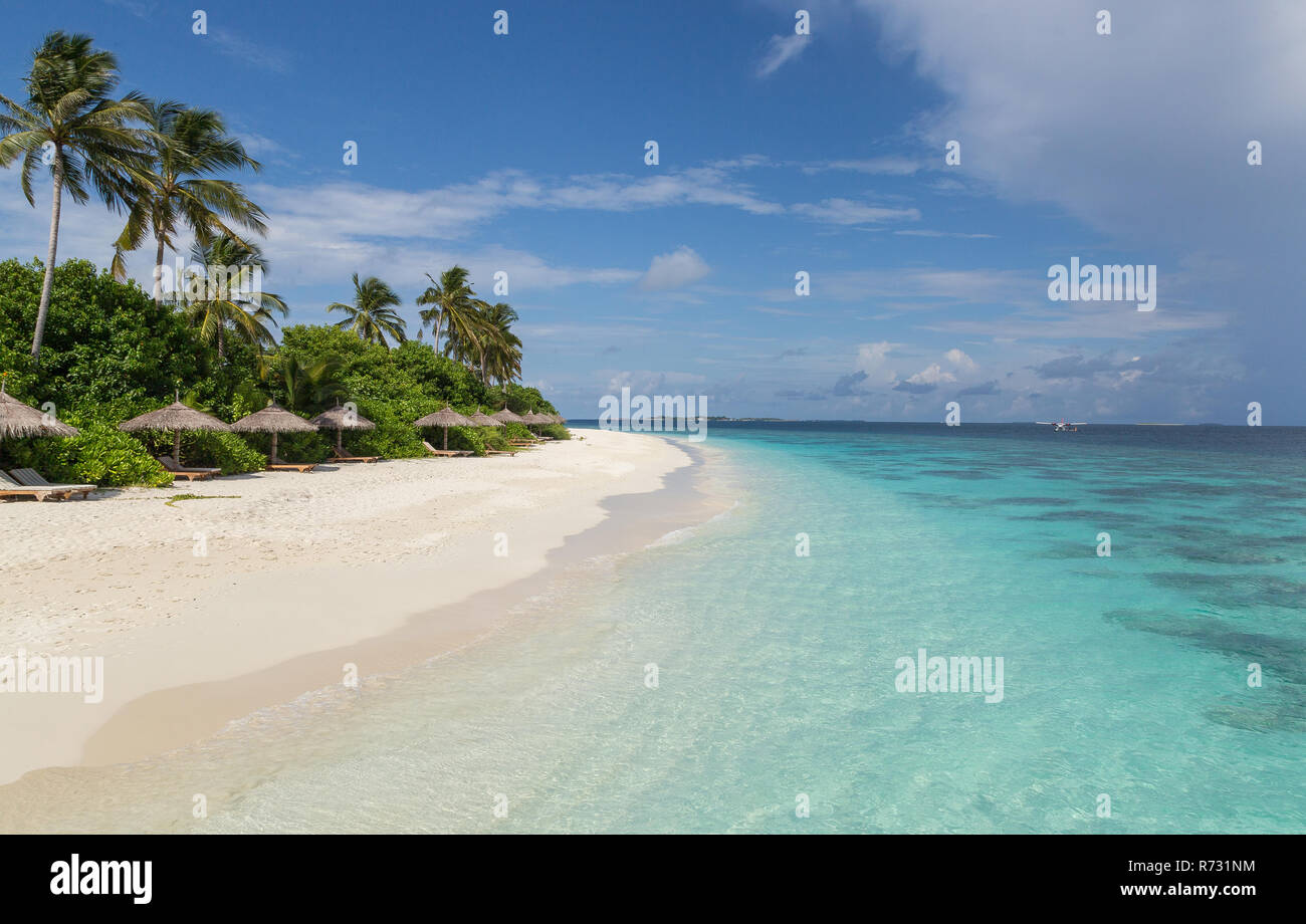 Beach with palm atoll island Maldives Stock Photo - Alamy