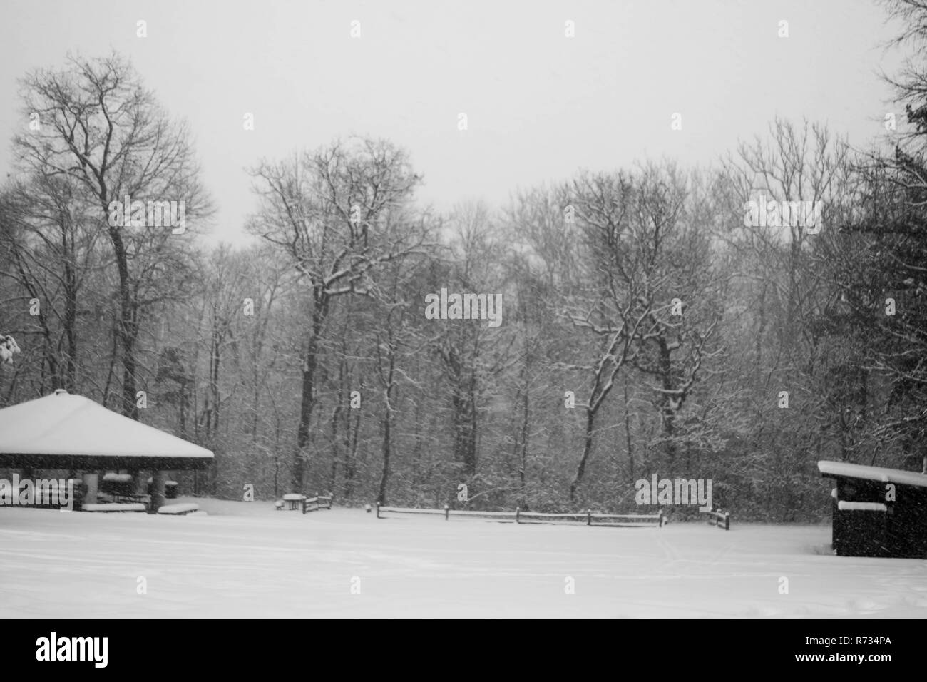 Stephen gray Black and White Stock Photos & Images - Alamy