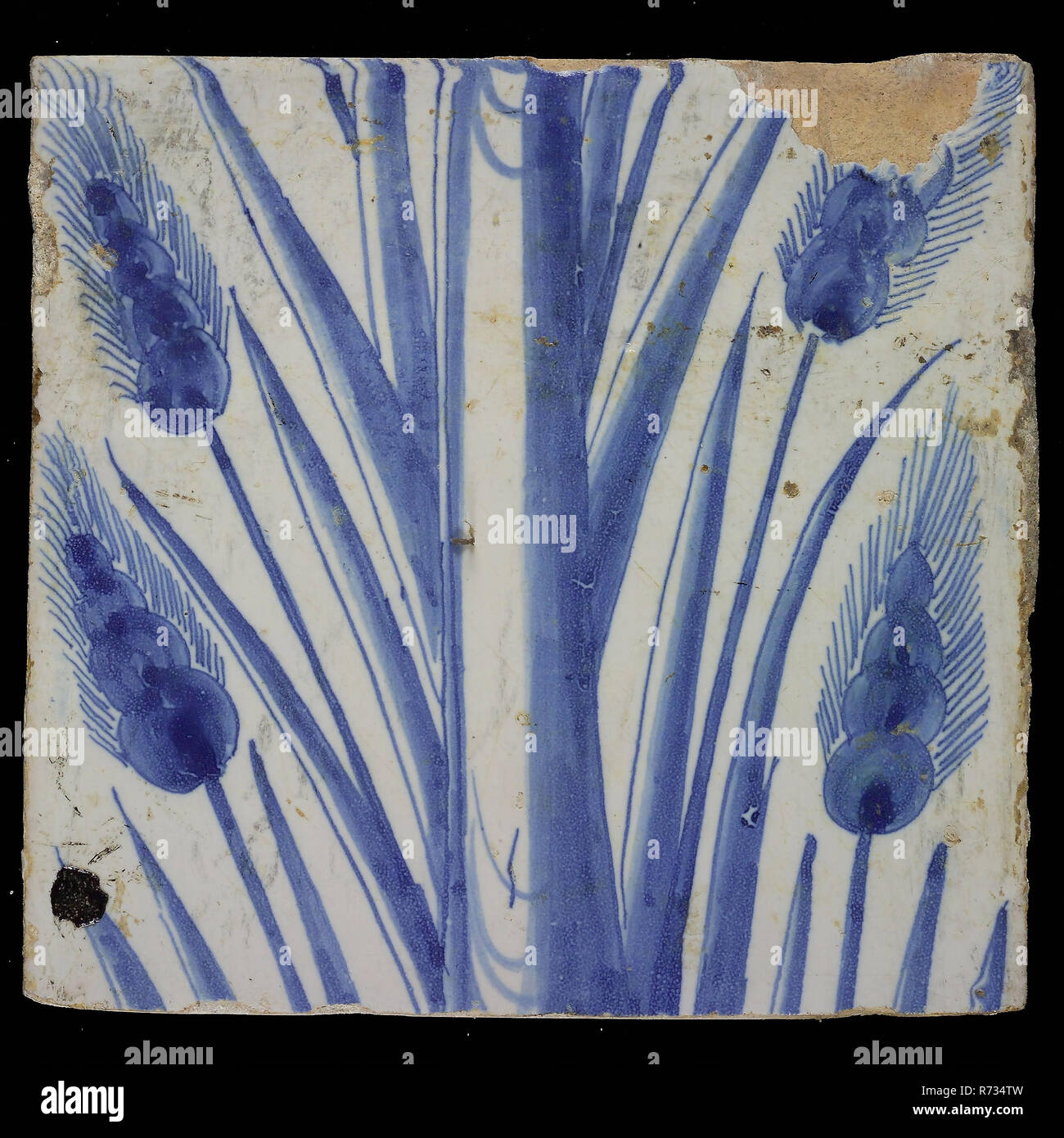 Blue tile with trunk, ears of corn, leaf, of chimney pilaster with 13 ...