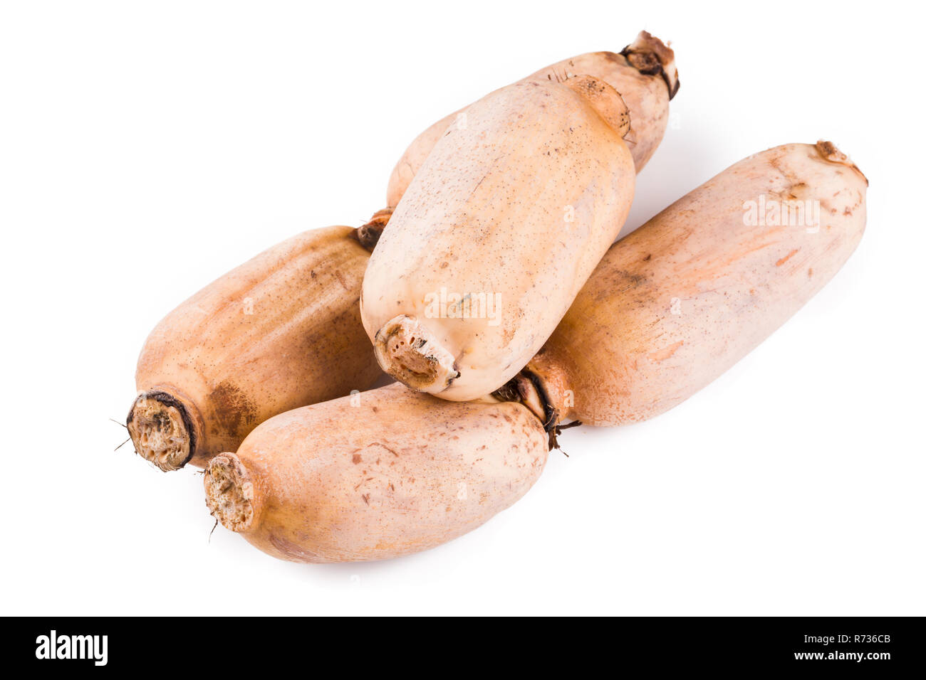 Lotus root on the white background. Natural and healthy food Stock ...