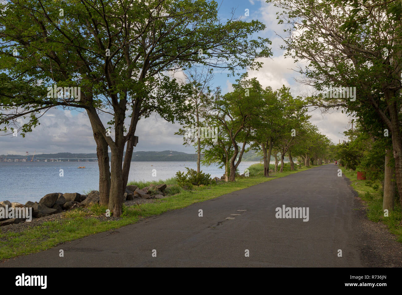 Trees lining the roadway leading out into the Hudson River along the ...
