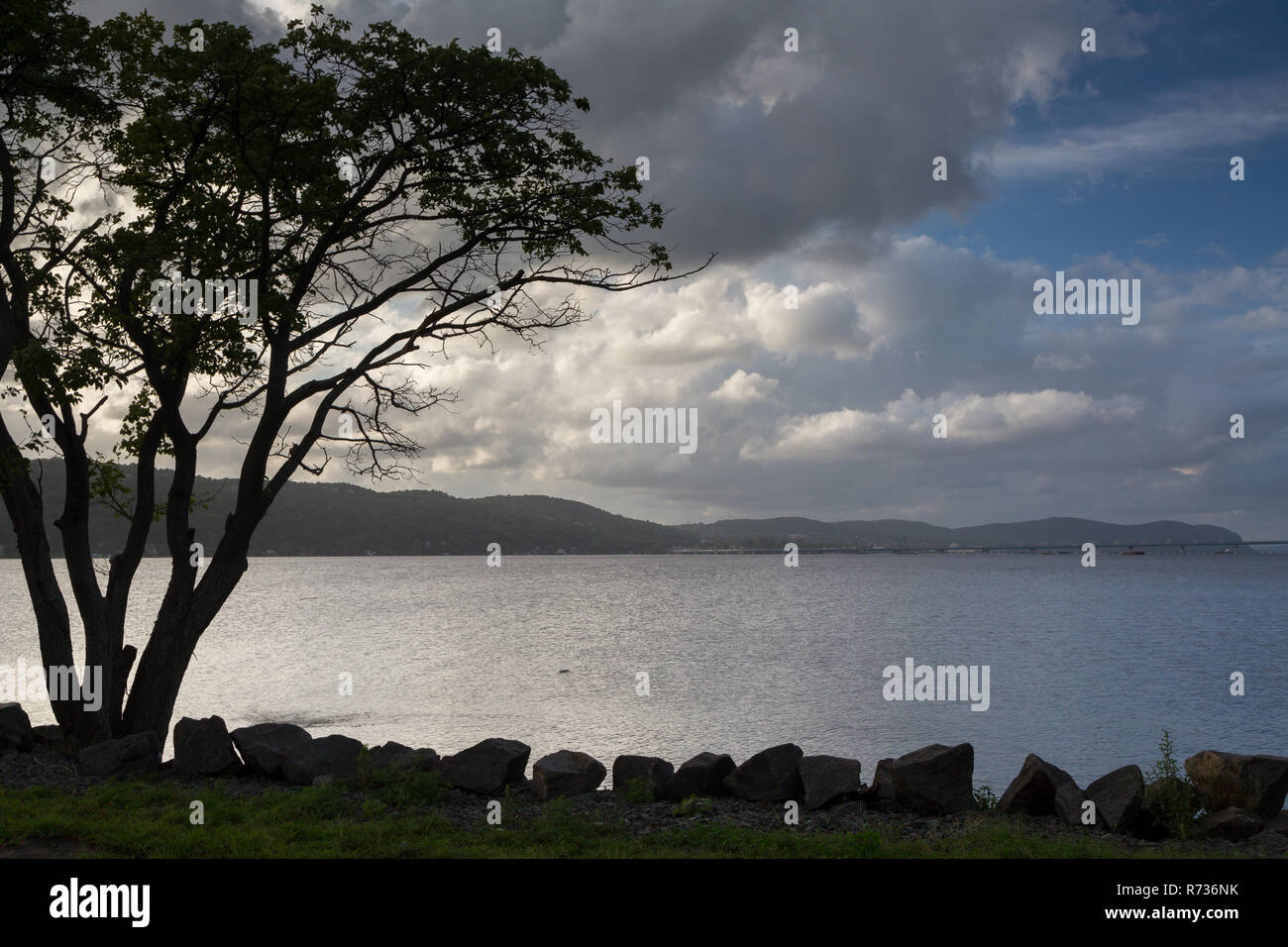 A tree along the Piermont Pier silhouetted against a sunset sky and the ...