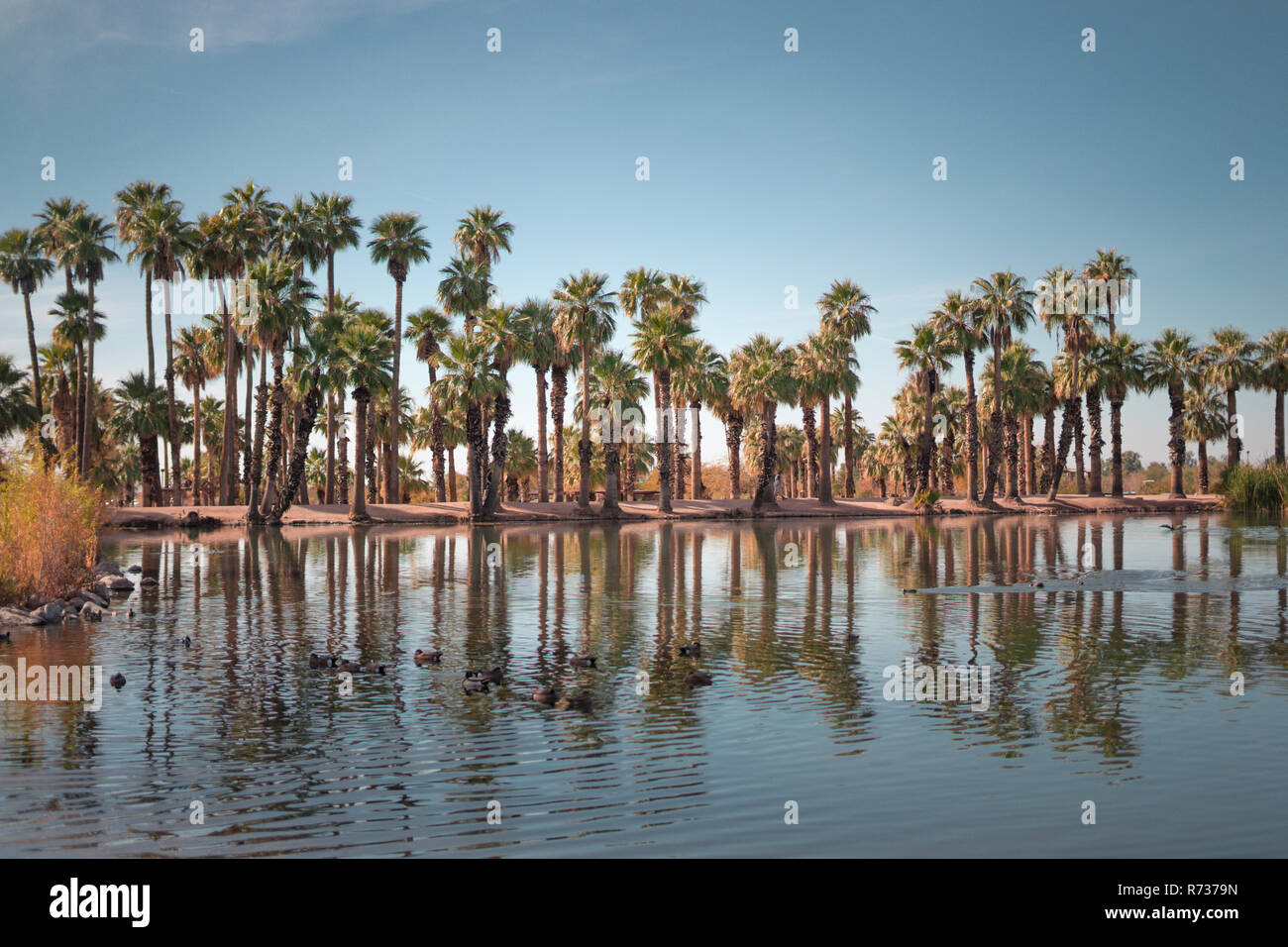 Sedona Park, Phoenix Arizona Stock Photo - Alamy