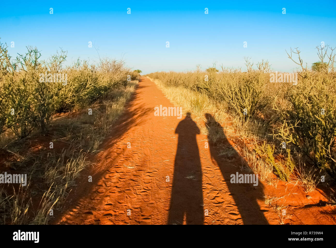 Shadow of two persons on a sand path in the middle of the red Kalahari ...