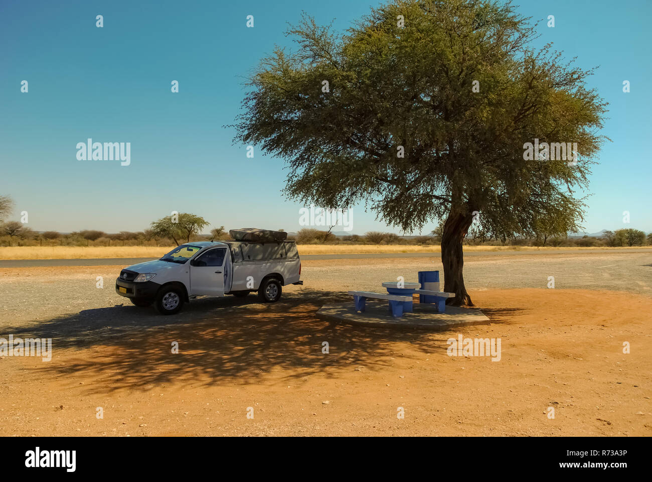 Solitary acacia tree in the middle of the african savannah with a roof ...