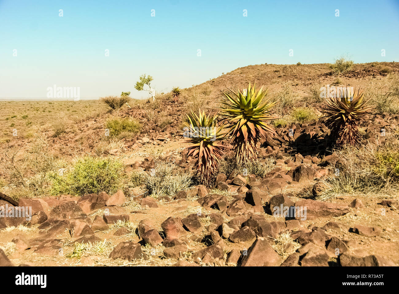 Agriculture in zimbabwe hi-res stock photography and images - Alamy
