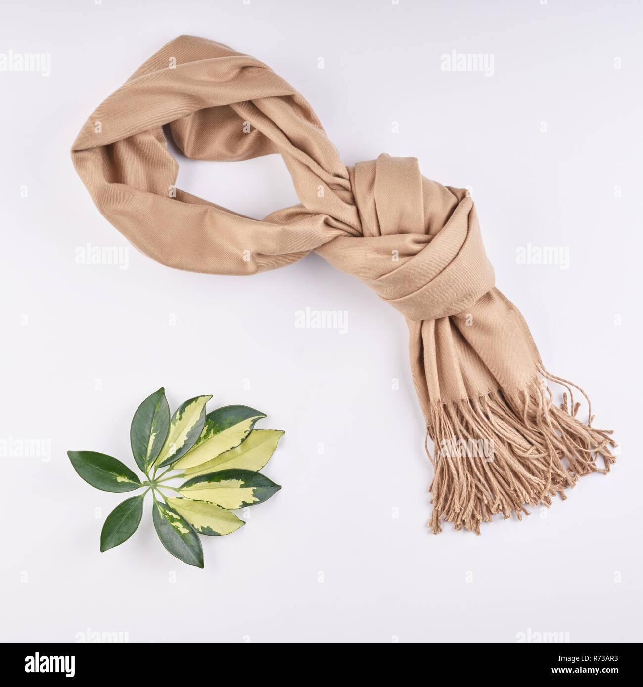 Scarf is tied in beautiful knot on white background. Flat lay, top view ...