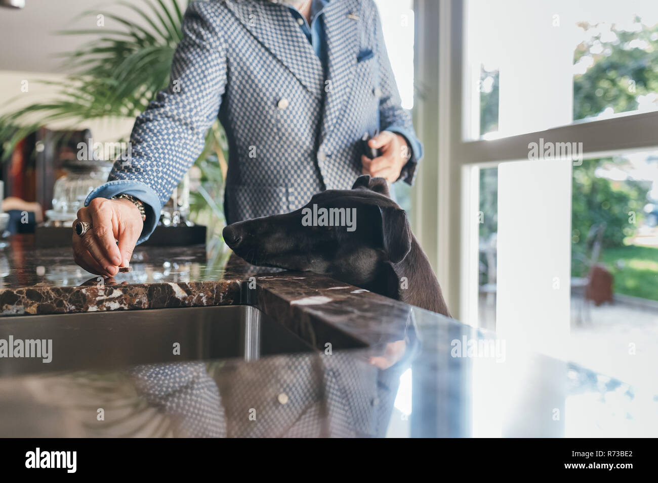 Man giving treat to dog Stock Photo - Alamy