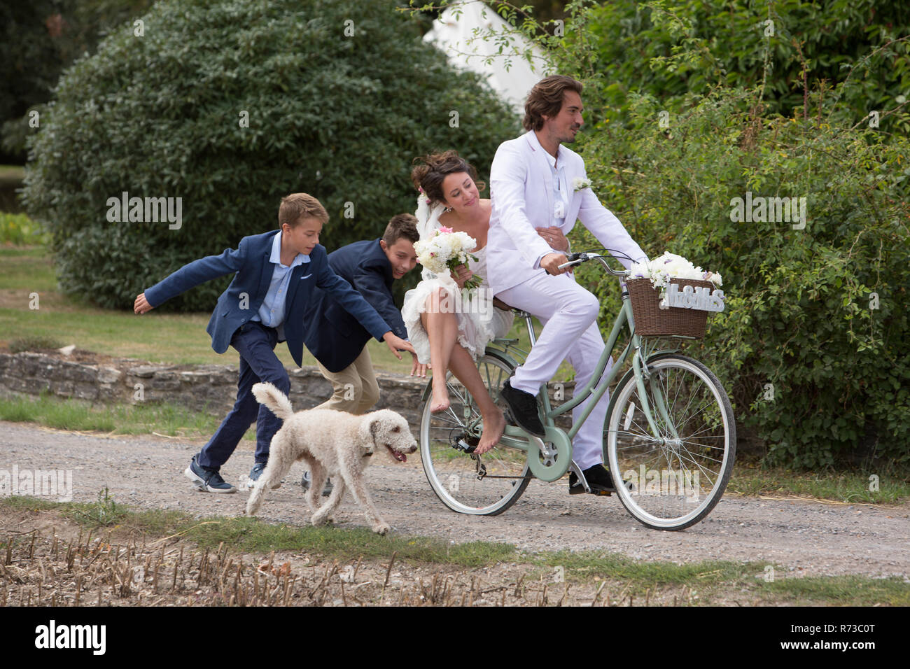 Young wedding guests running after newlyweds on bicycles Stock Photo ...