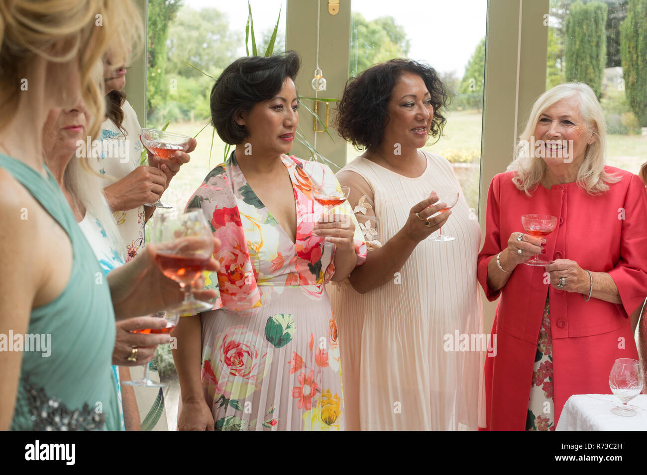 Female wedding guests at reception Stock Photo - Alamy