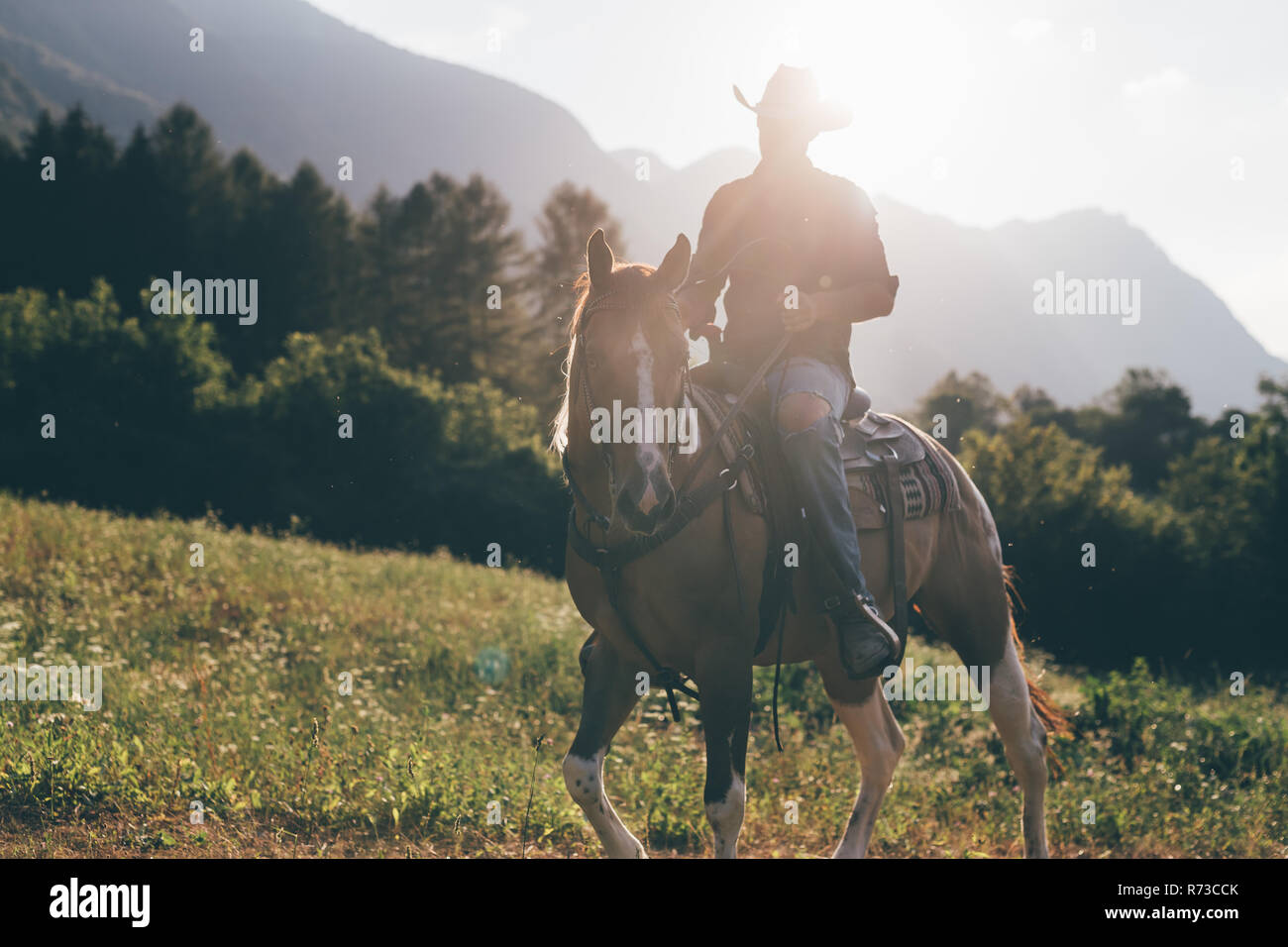 Cowboy riding horse in rural landscape, backlit, Primaluna, Trentino ...
