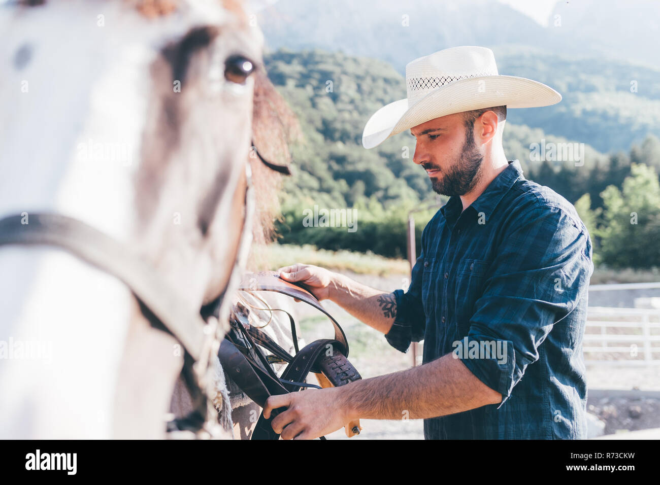 Horse wearing saddle side view hi-res stock photography and images - Alamy