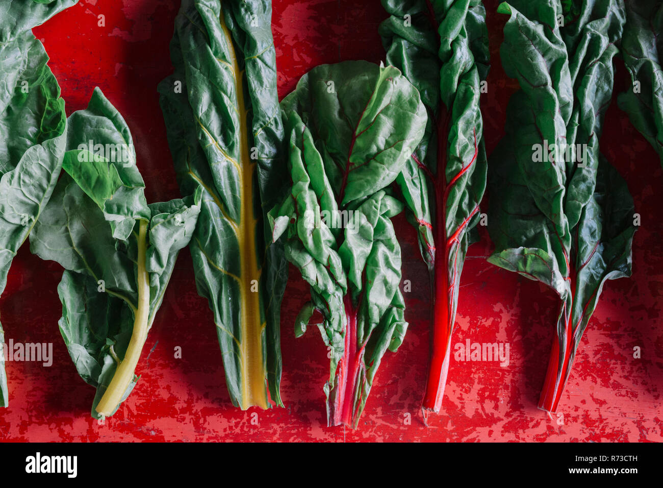 Row of vegetable leaves on red background, overhead view Stock Photo ...