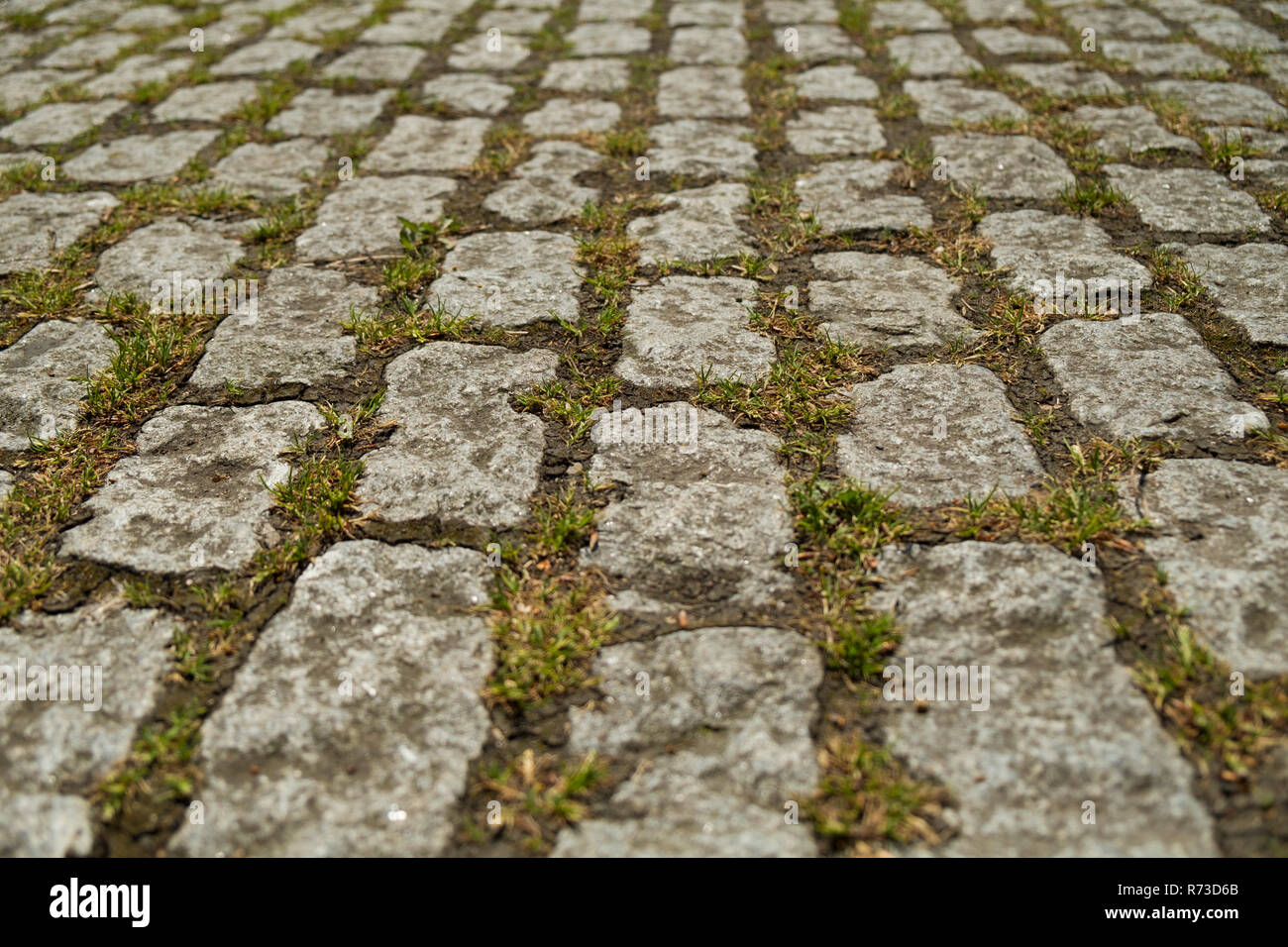 close up of old brick paved path Stock Photo - Alamy