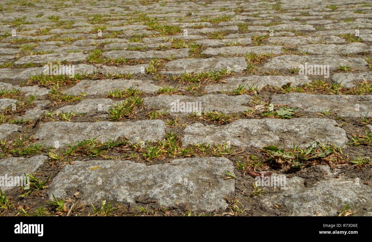 Brick paved pathway hi-res stock photography and images - Alamy
