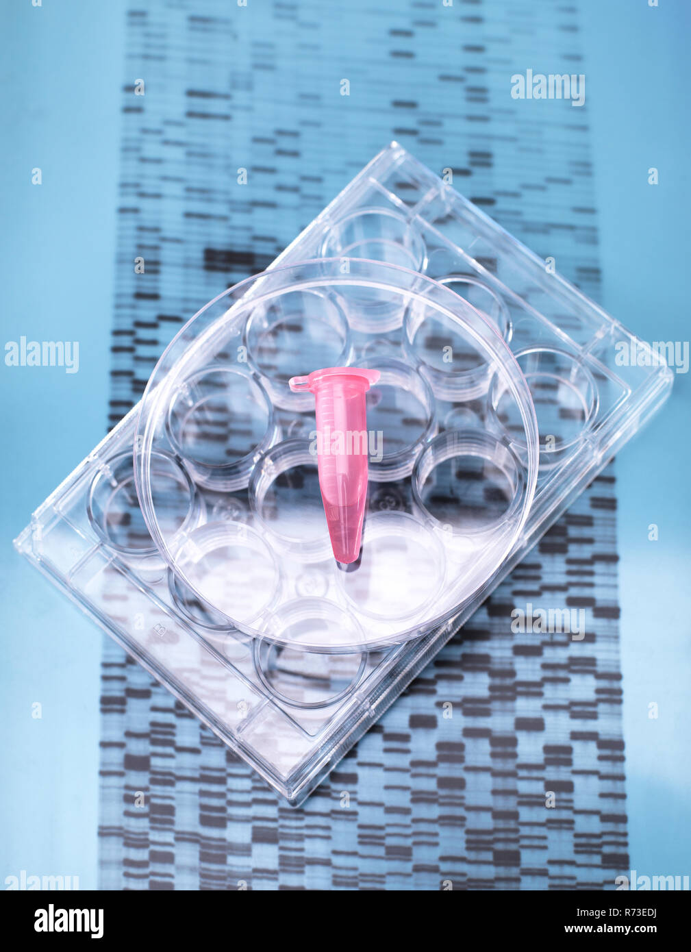 DNA sample inside vial on multi well plate, DNA gel showing results ...