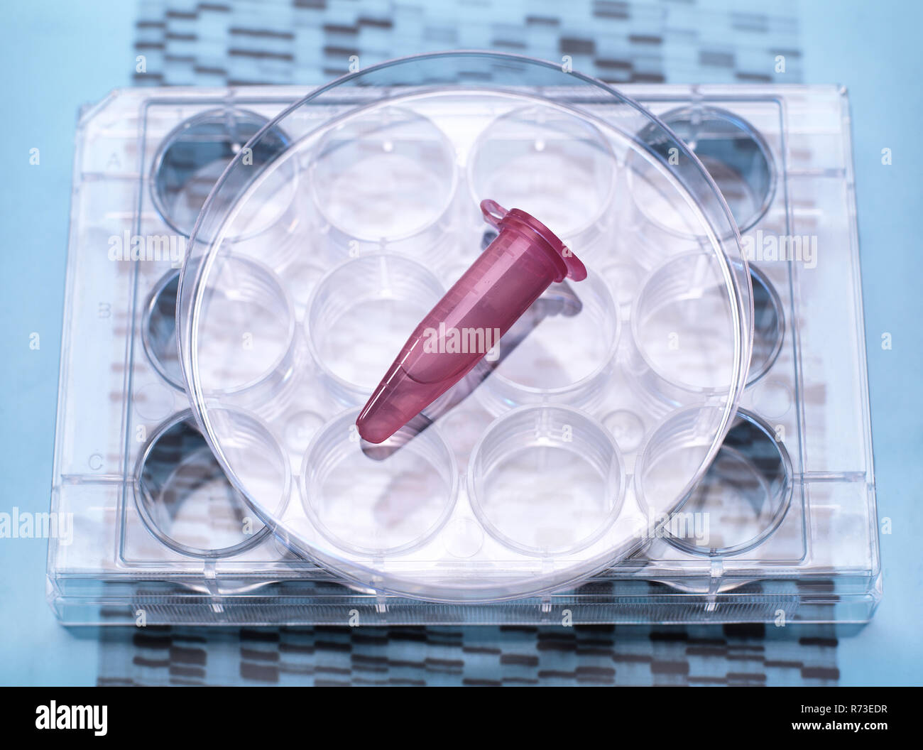 Dna sequencing gel hi-res stock photography and images - Alamy