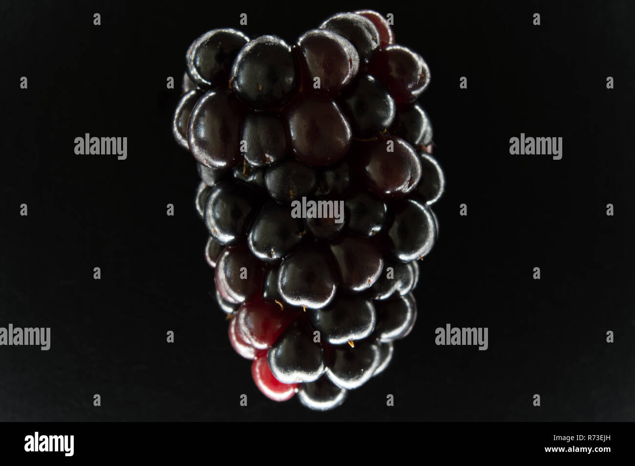 Backlit macro photography hi-res stock photography and images - Alamy