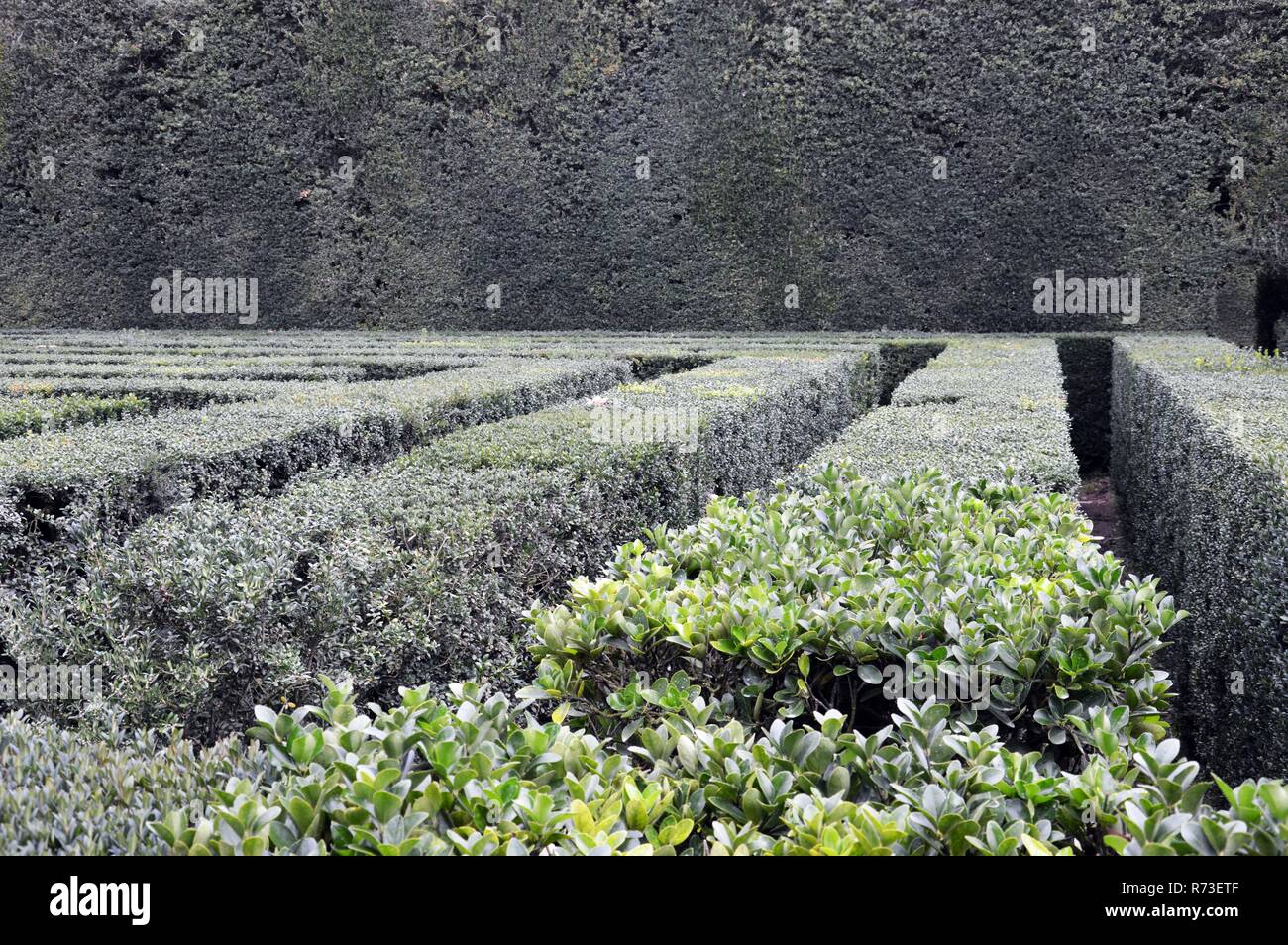 find the way into the magical labyrinth Stock Photo - Alamy