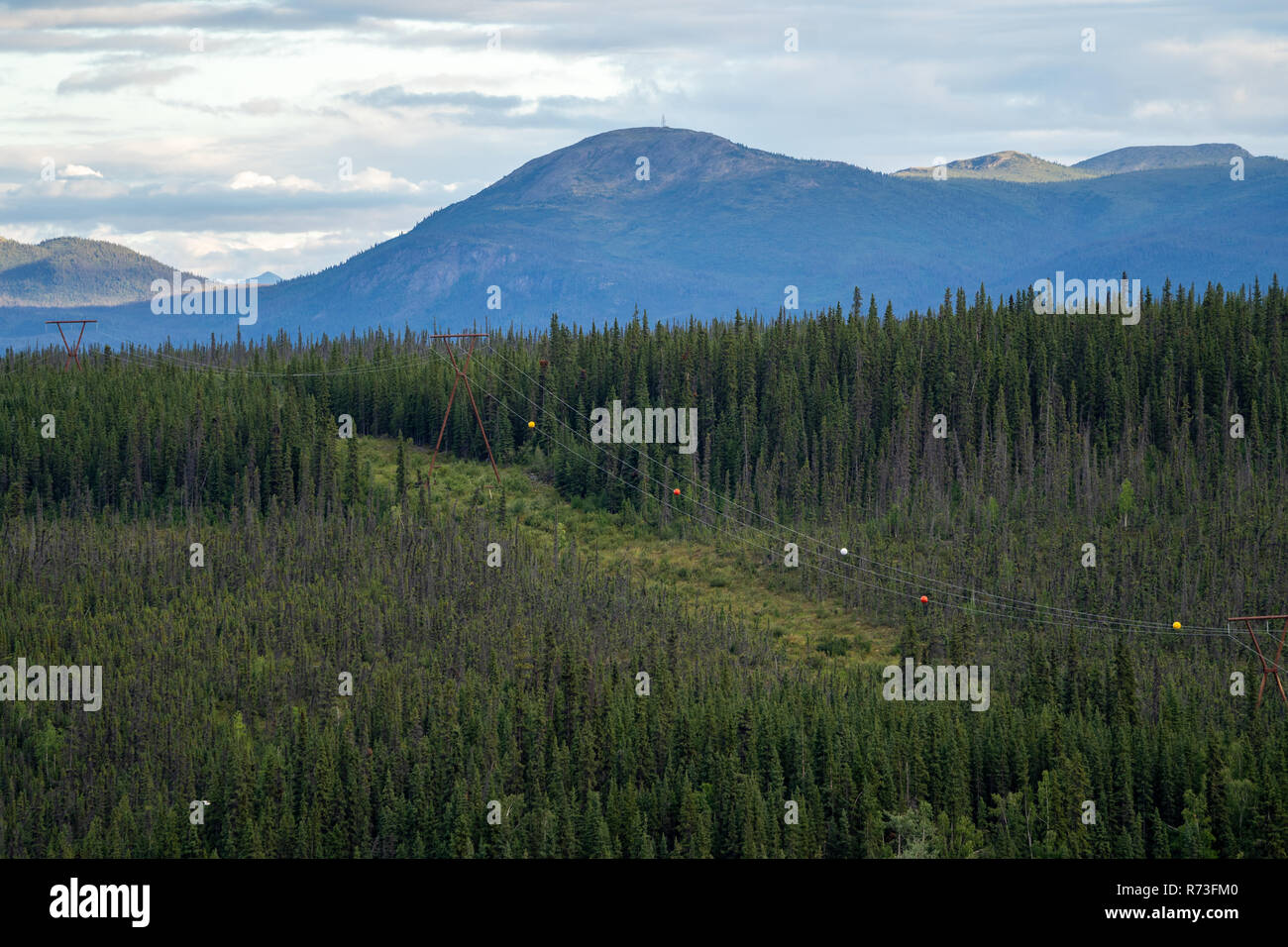 Visibility marker balls hi-res stock photography and images - Alamy
